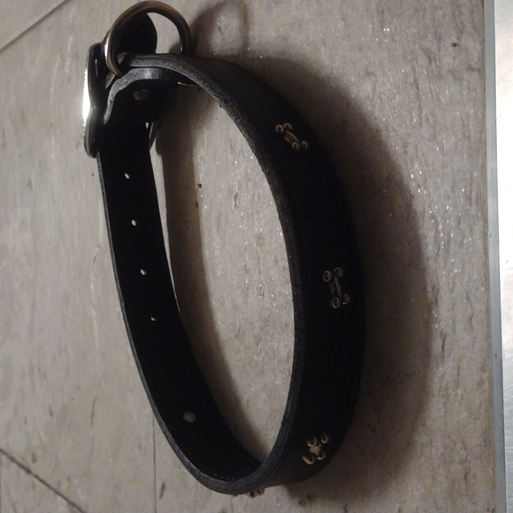 Omni pet | Dog | Omni Pet Signature Leather Dog Collar | Poshmark